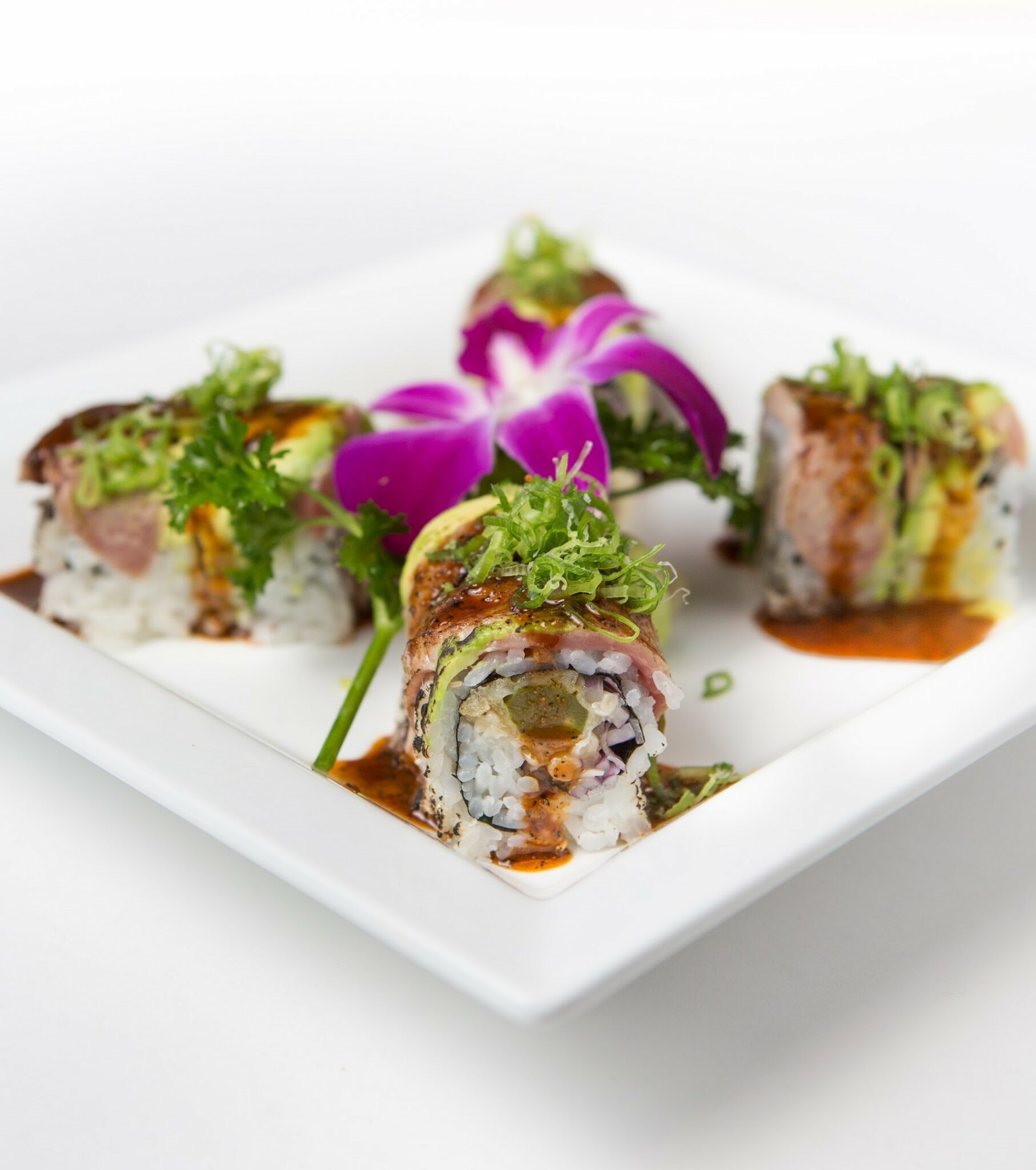 finsboston.com - Fins Japanese Sushi and Grill